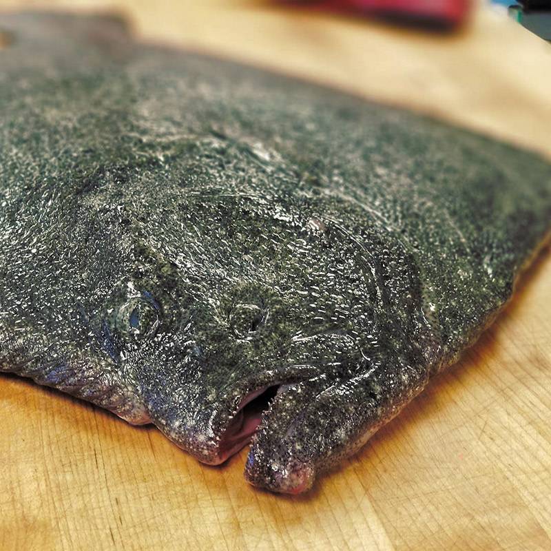 Gallery - Reel Foods Fish Market